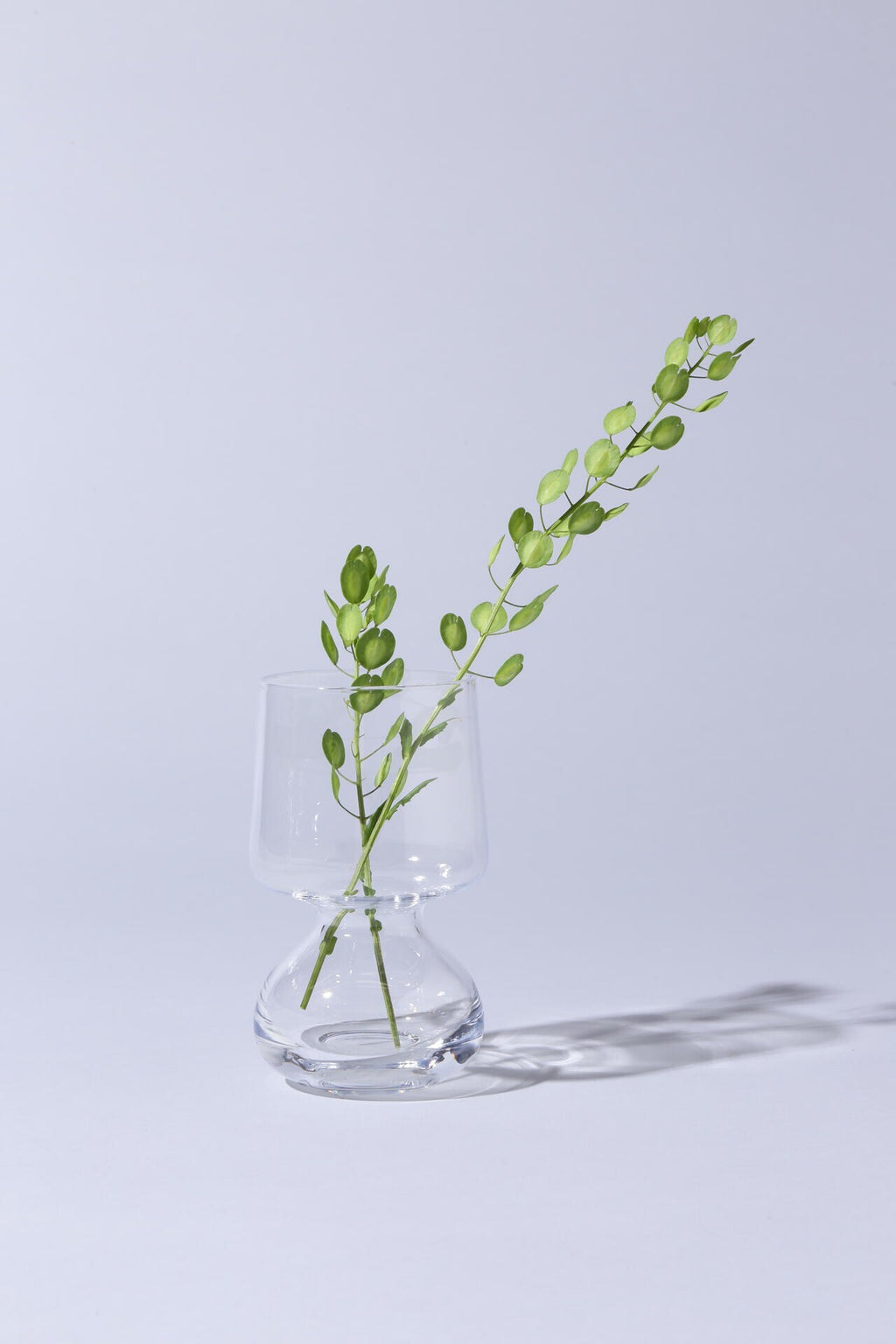 【Gg】BOBCRAFT テットベース S | human woman（ヒューマンウーマン） ｜【公式】通販mix.tokyo（ミックスドットトウキョウ）